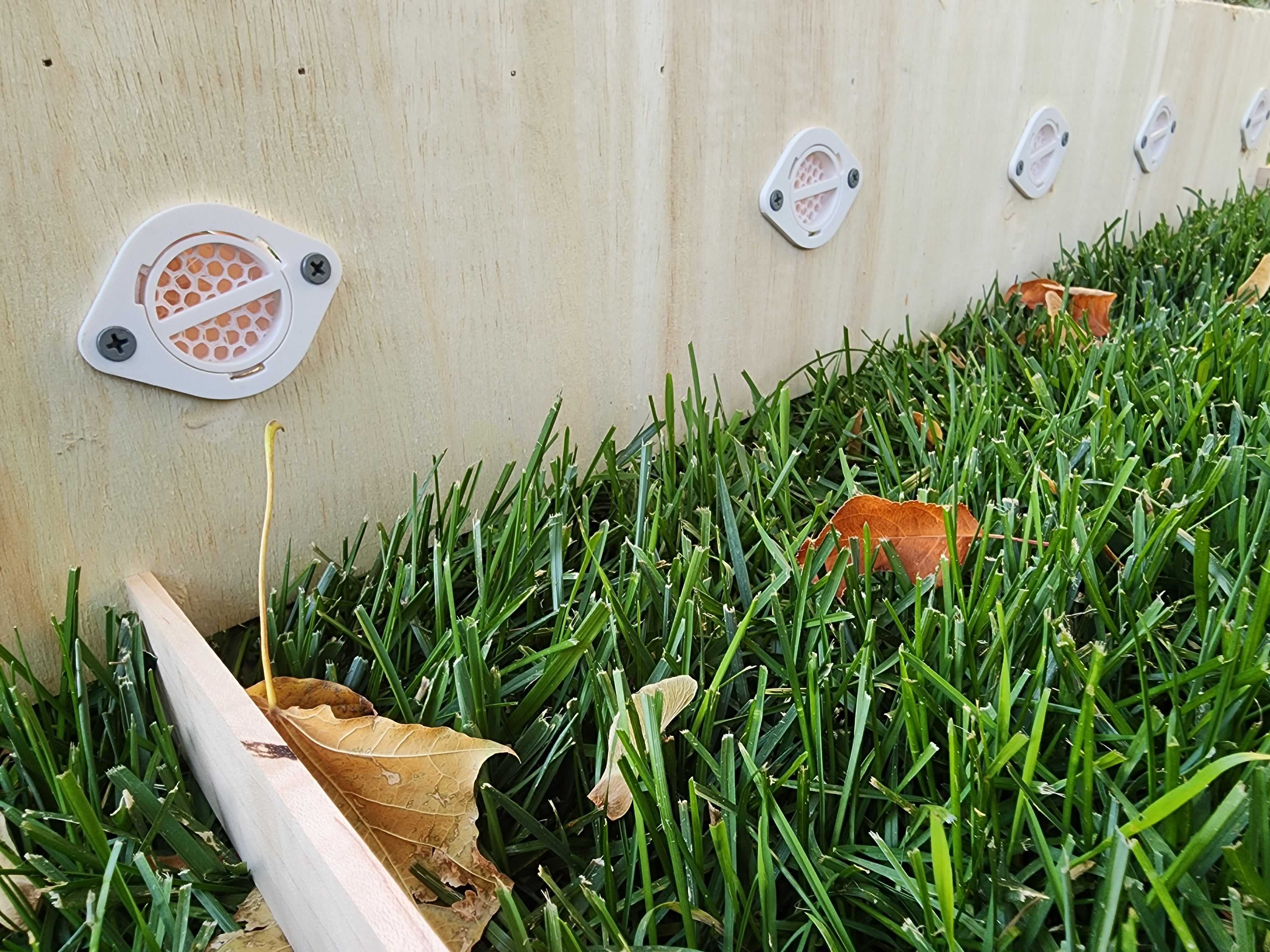 Scent Tubes for Nosework & Scent Detection | Sets of 5 or 10